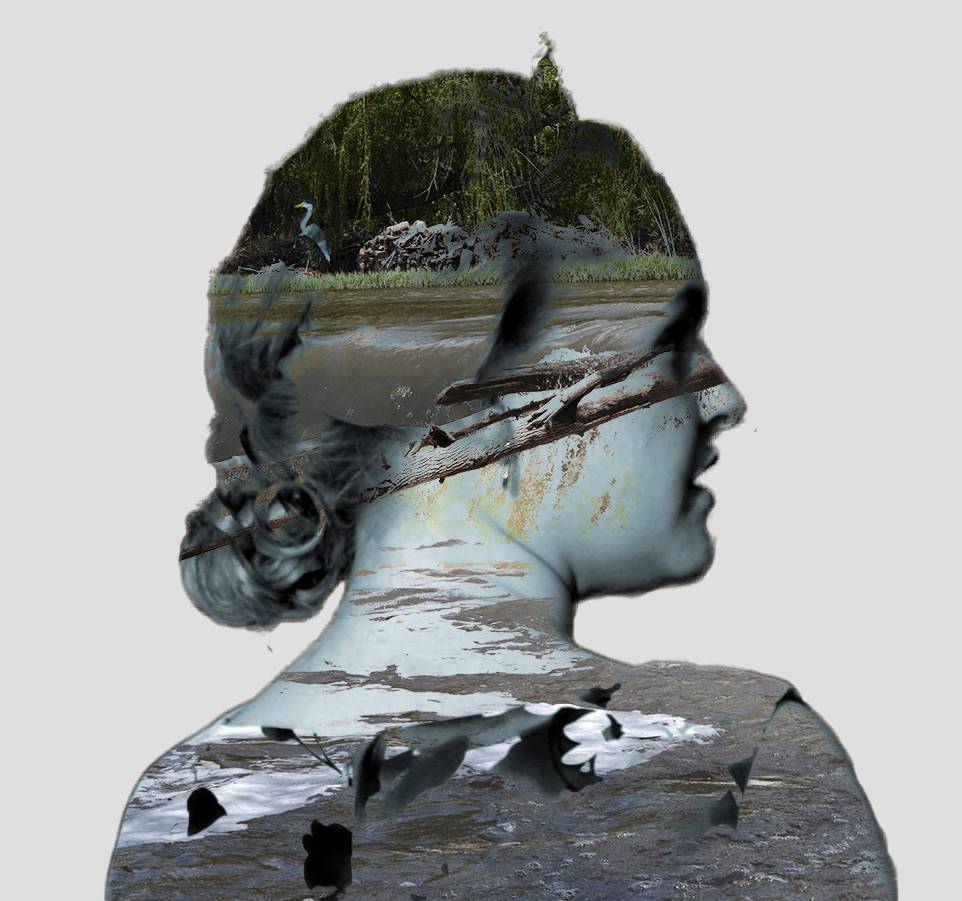 Student Work :: ChristopherShields-com